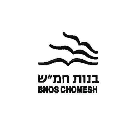 Please Add Embroidery to the Polo / Sweater - Bnos Chomesh – Fraylich ...